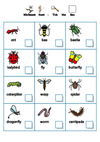 Widgit Symbol Resources | Summer Pack